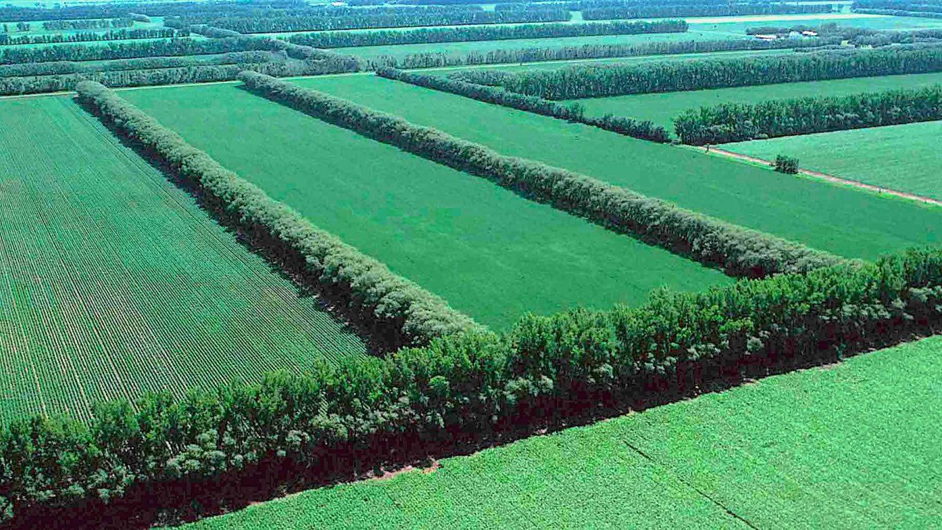 Soil Conservation Tips Every Farmer Should Know